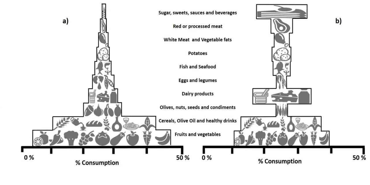 Food & Water | nexus